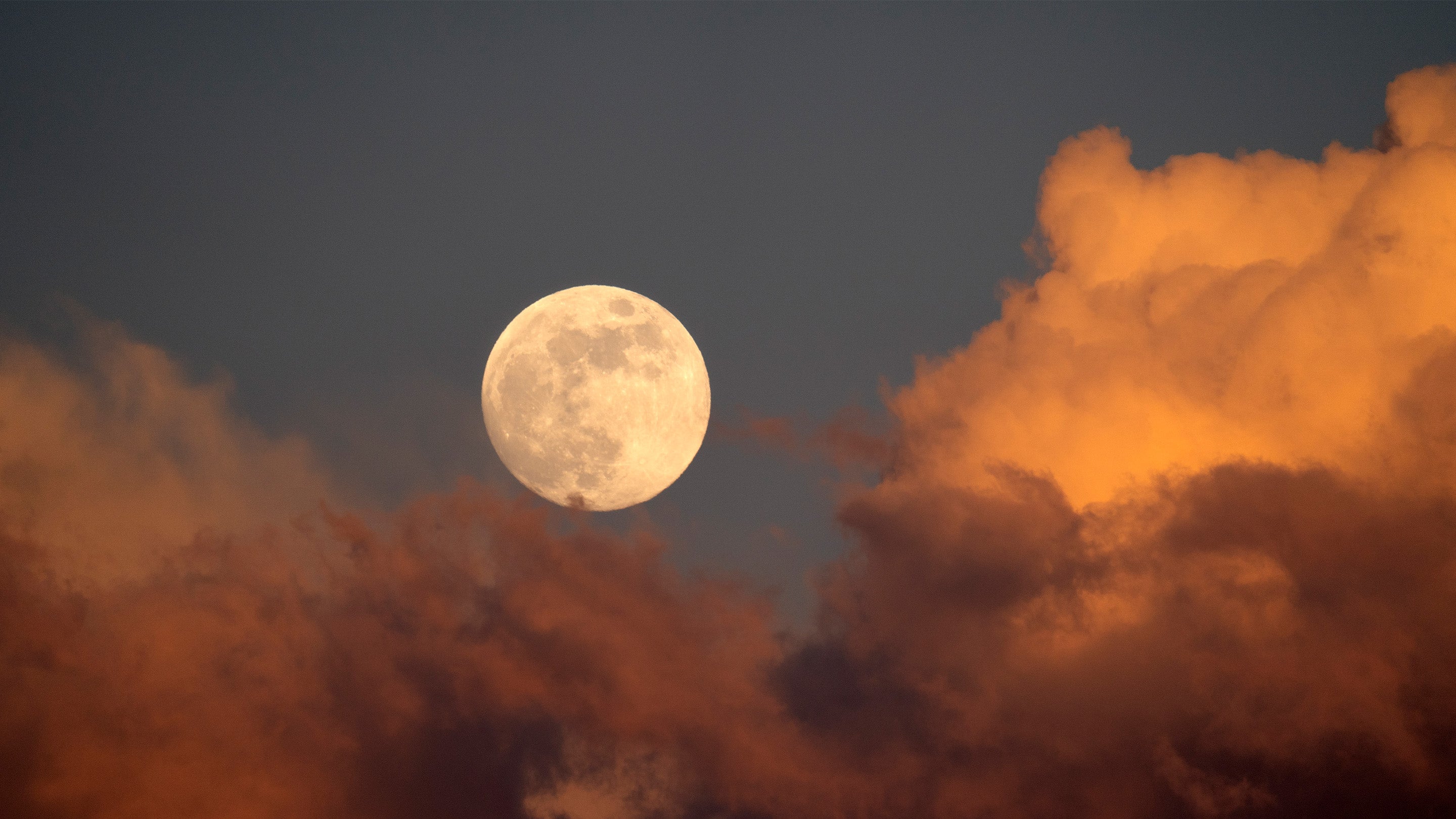 Buck Moon – Duke Cannon