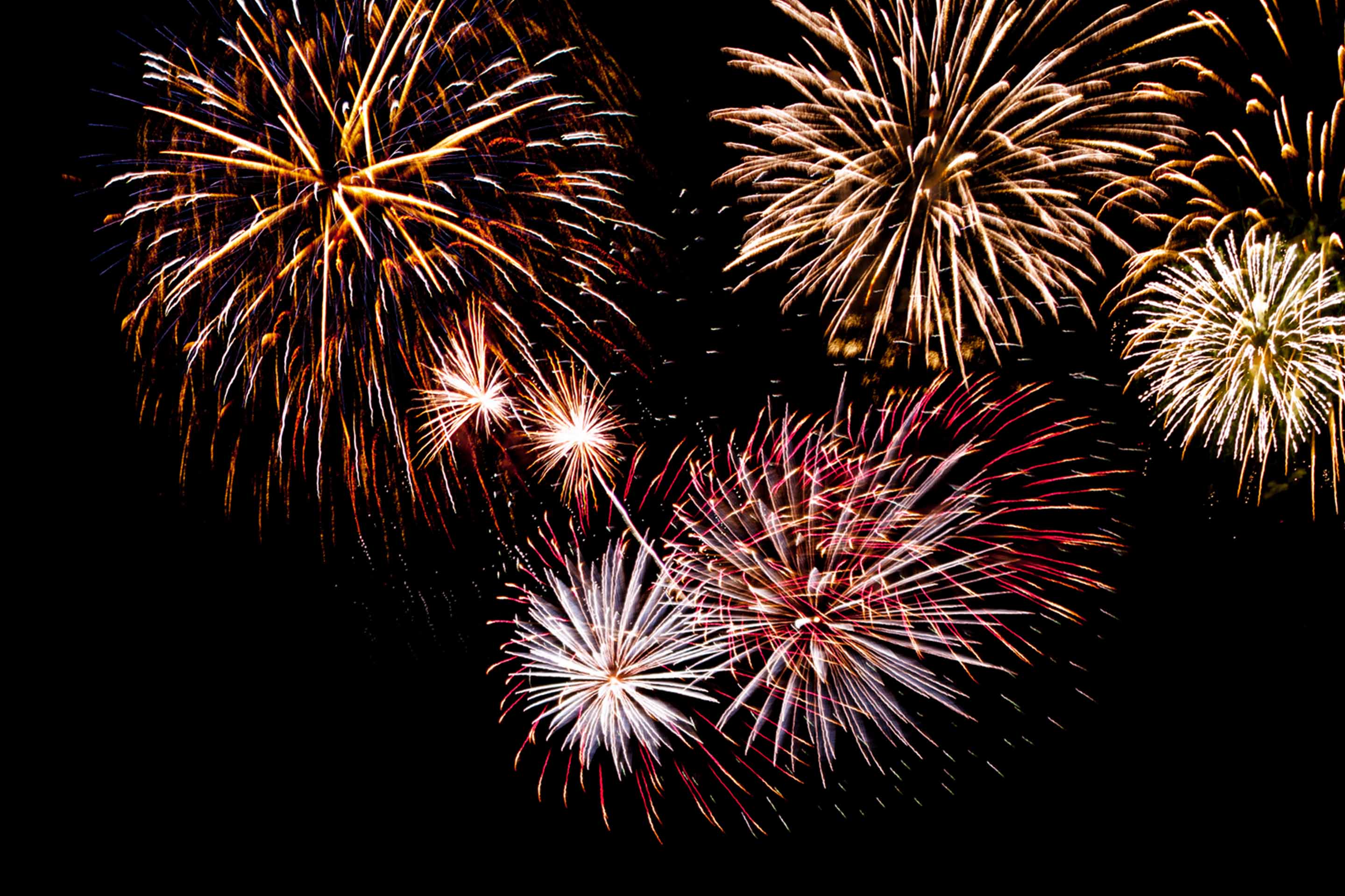 Big Bandit – Duke Cannon